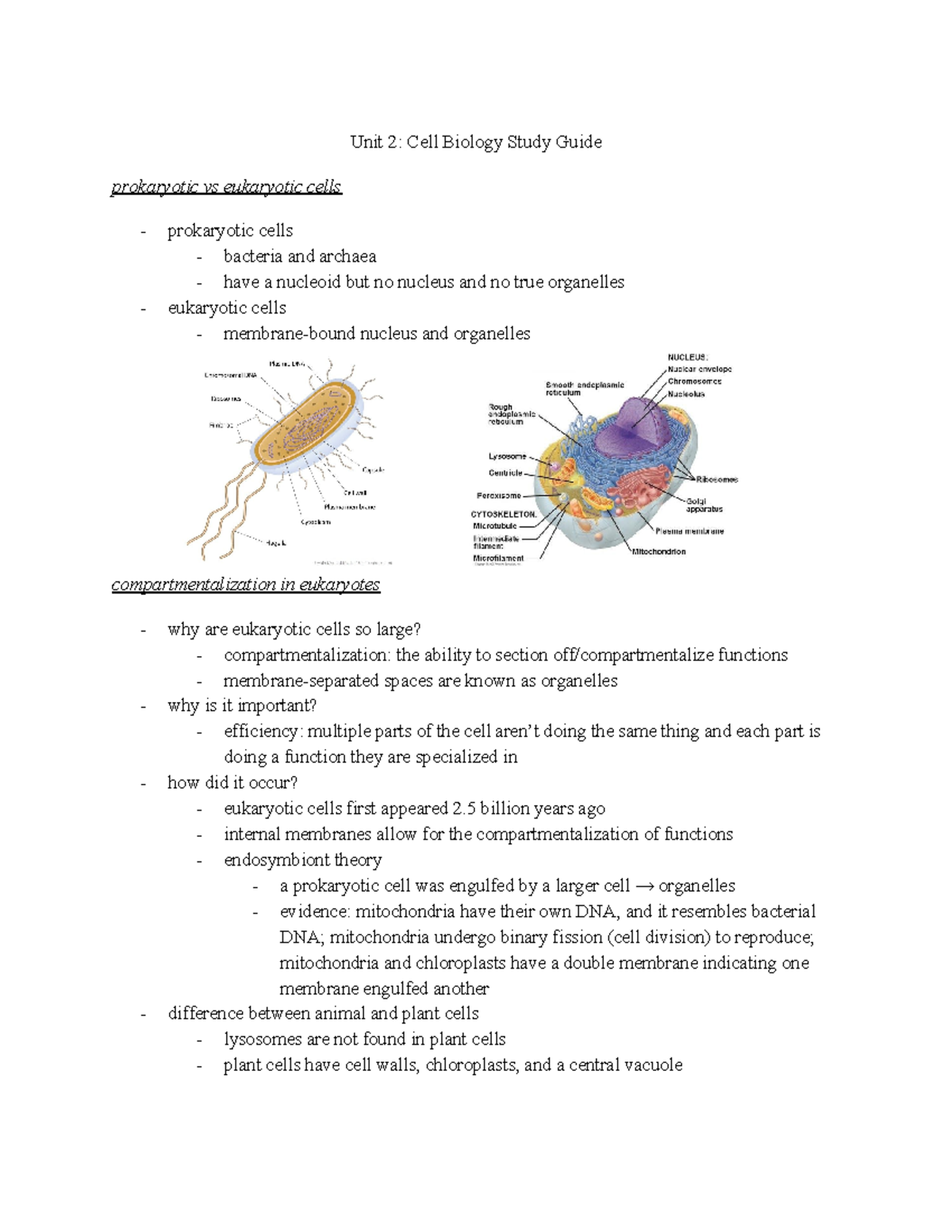 Unit 2 Cell Biology SG - O2, CO2) larger hydrophobic molecules (ex ...