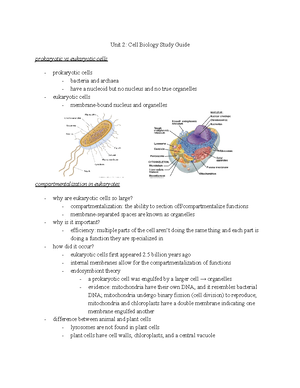 2020 - cell organelles worksheet ch2 - Biology Name: ANSWER KEY Period ...