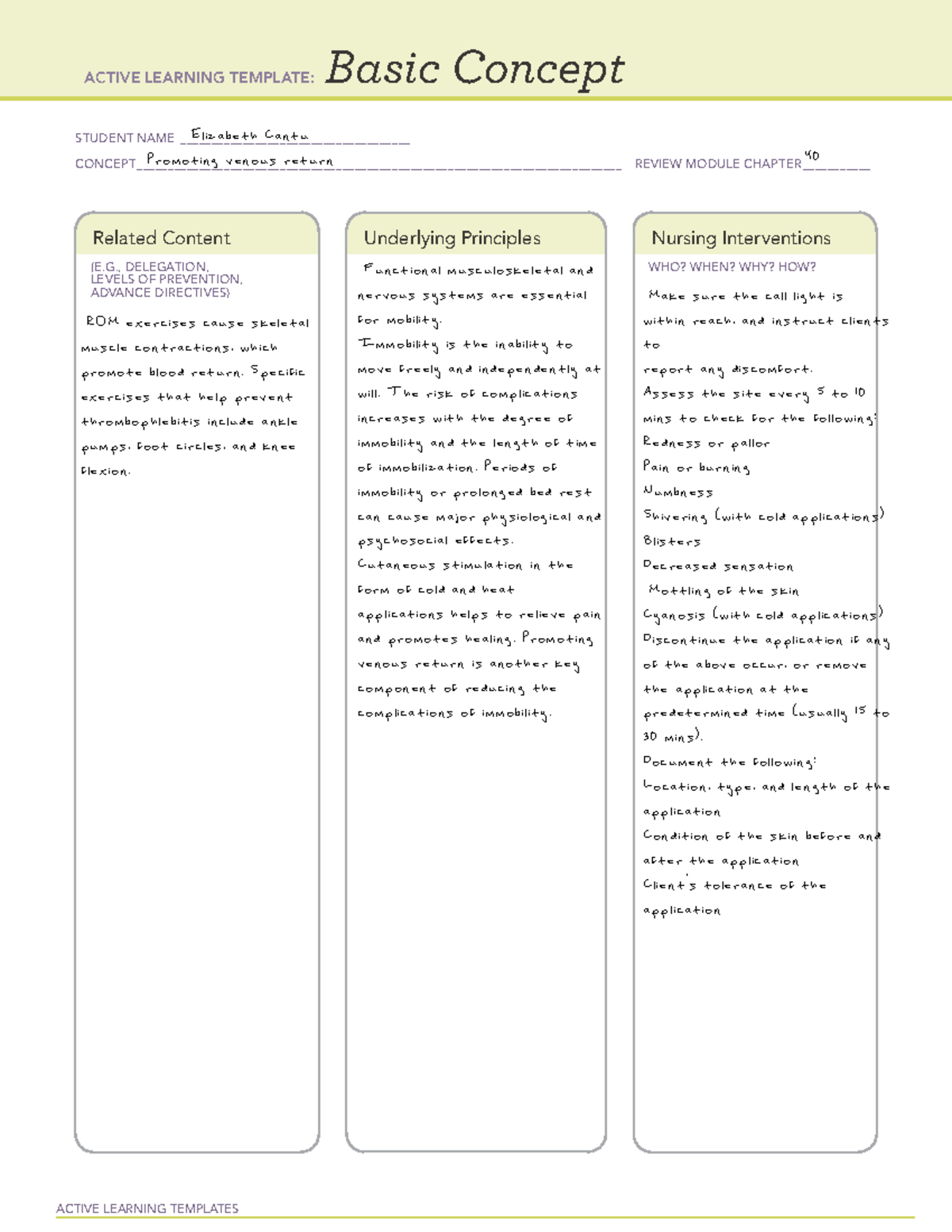 Basic concept promote venous return - ACTIVE LEARNING TEMPLATES Basic ...