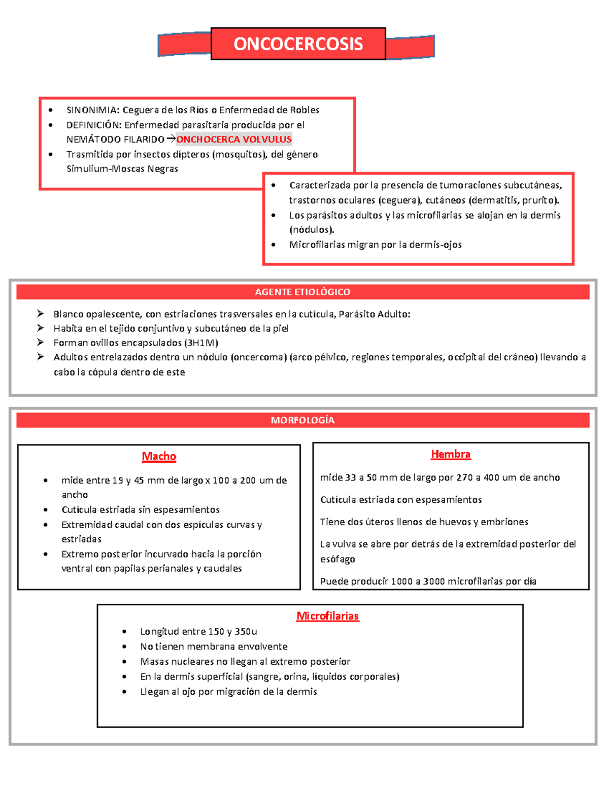Oncocercosis - MORFOLOGÍA ONCOCERCOSIS SINONIMIA: Ceguera de los Ríos o ...