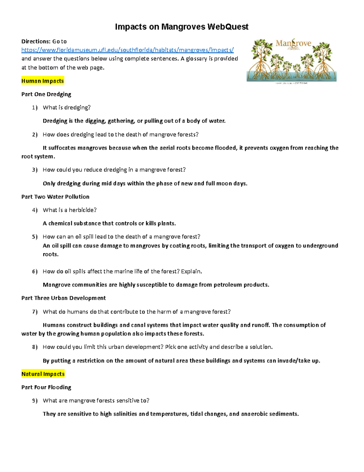 Impacts on Mangroves Web Quest - Impacts on Mangroves WebQuest ...