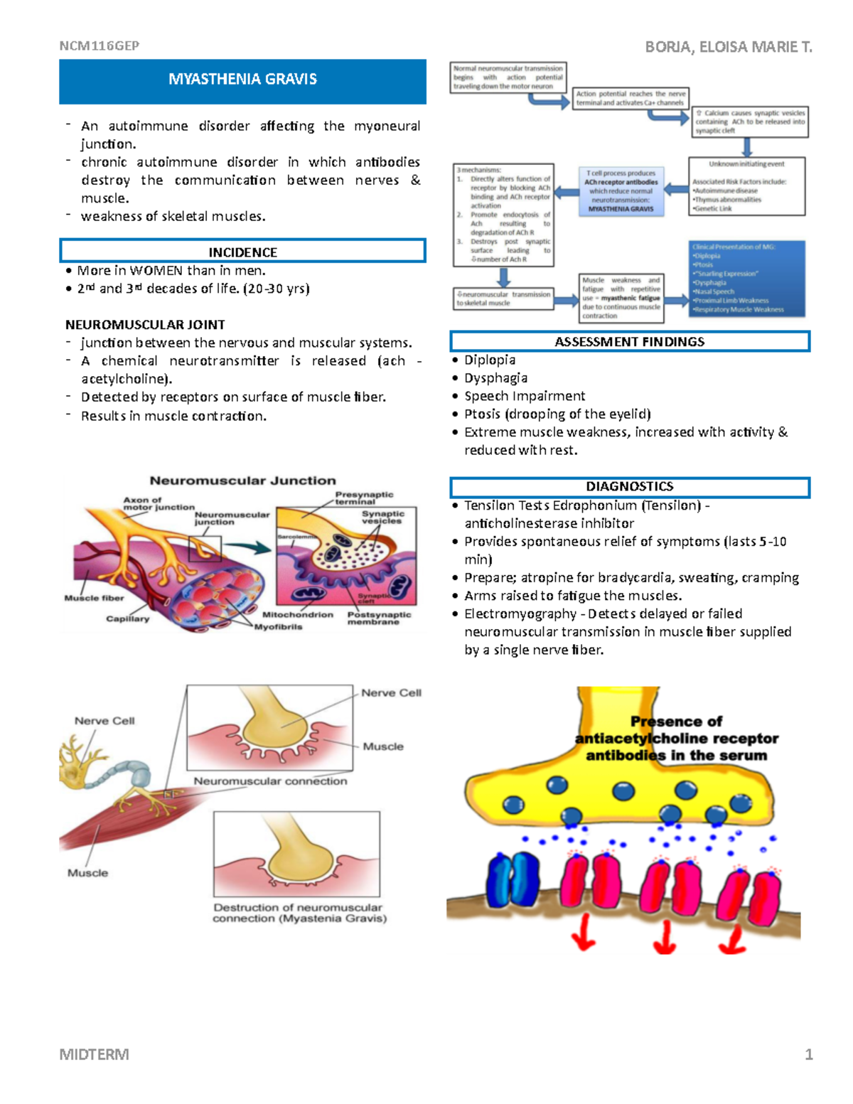 NCM116GEP Midterm 1 - MEDSURG MEDSURG MEDSURG - An autoimmune disorder ...