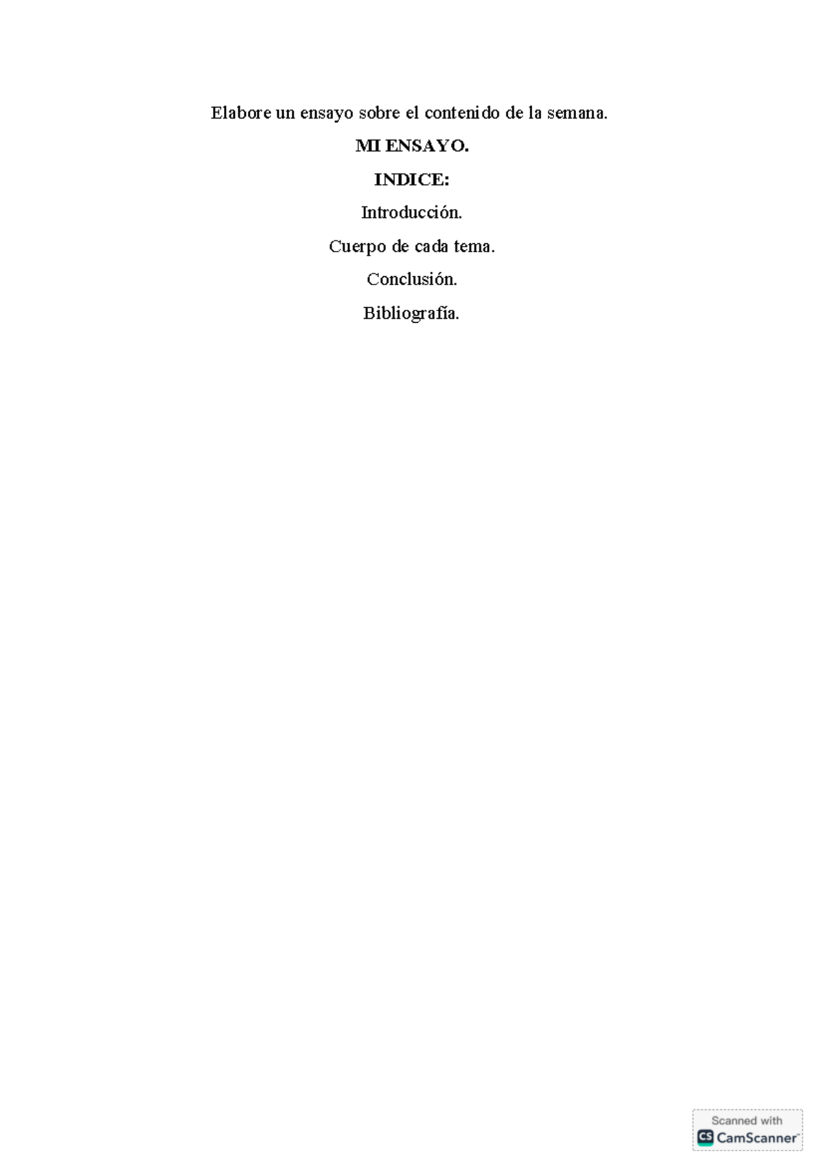 Elabore un ensayo sobre el contenido de - MI ENSAYO. INDICE ...