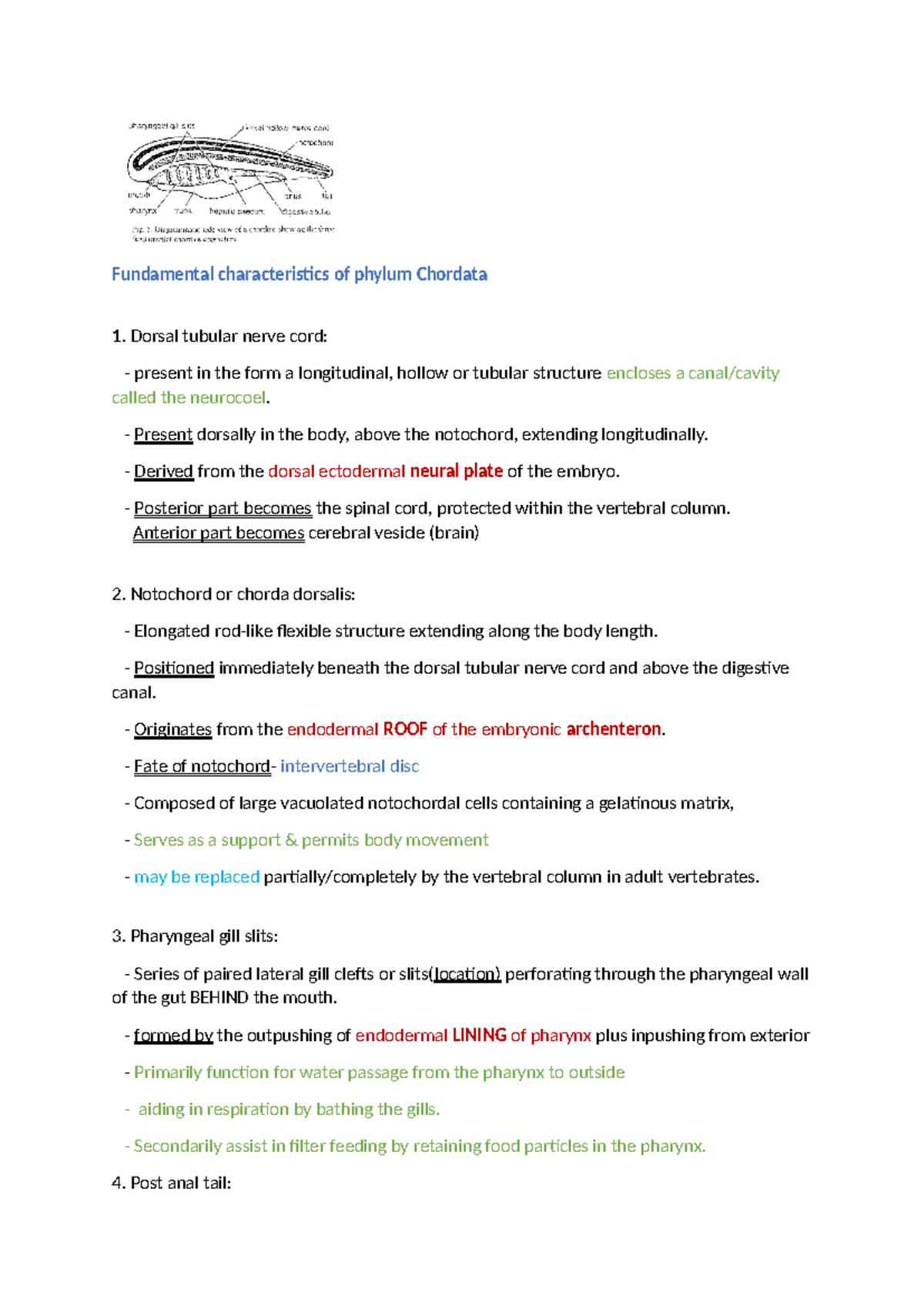 General Characteristics Vertebrates - Fundamental characteristics of ...