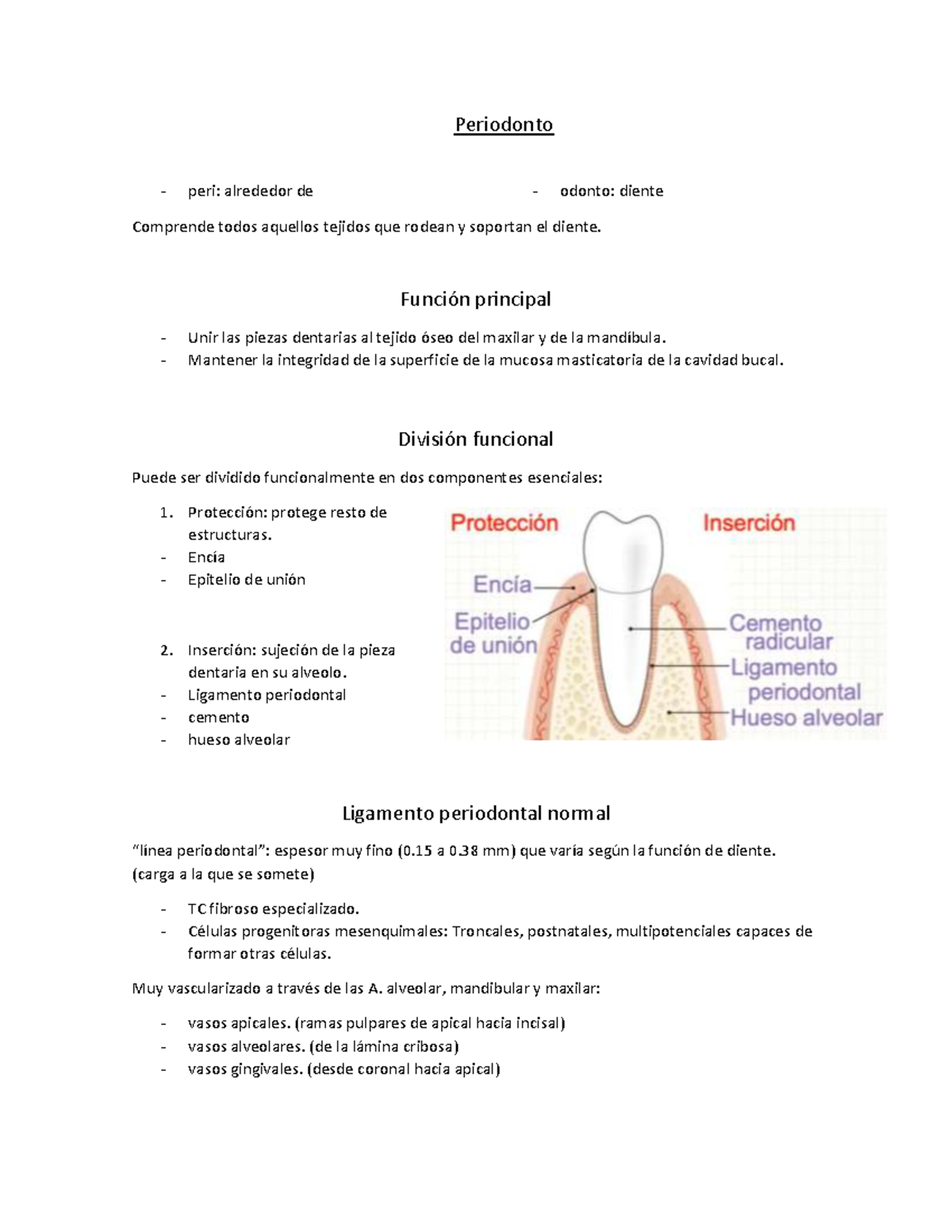 5. Periodonto - Periodonto peri: alrededor de - odonto: diente ...