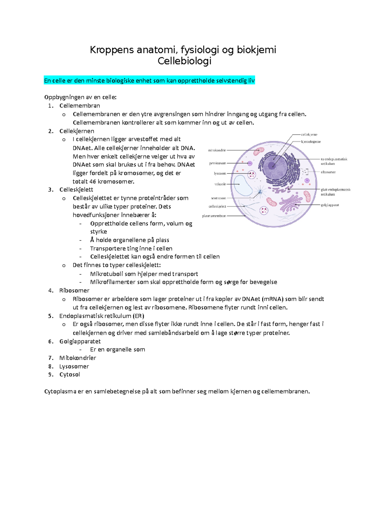 Cellebiologi Anatomi - Notater - Kroppens anatomi, fysiologi og biokjemi Cellebiologi En celle ...