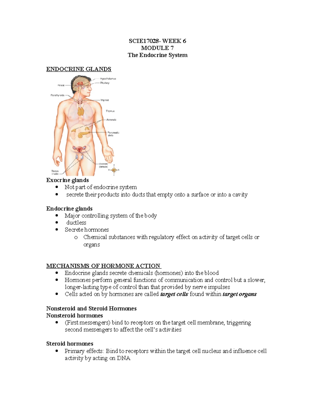 SCIE17028: Module 7 - The Endocrine System - Lecture Notes - SCIE17028 ...