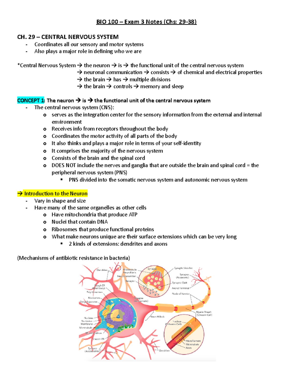 BIO 100 exam 3 chapter notes - BIO 100 Exam 3 Notes (Chs: CH. 29 ...