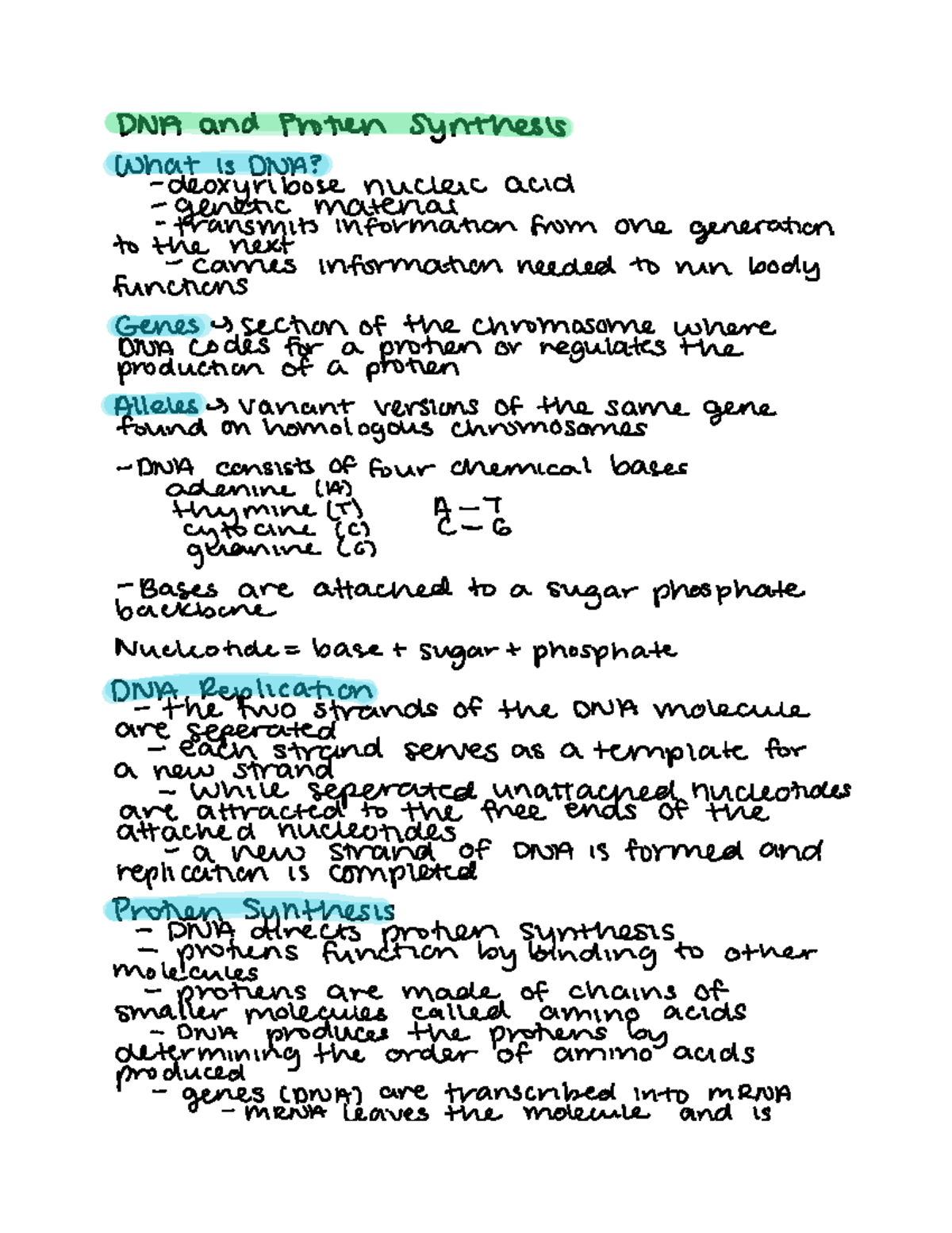 DNA and Protein Synthesis - StuDocu
