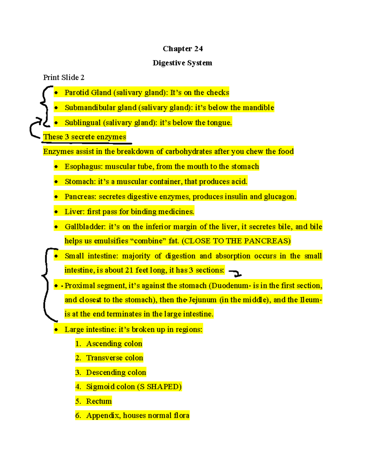 Chapter 24 Guide Final Test 2 Anatomy And Physiology Chapter 24