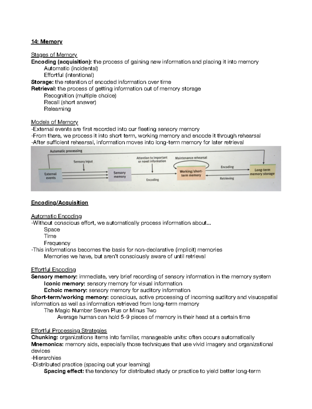 14 Memory - 14: Memory Stages of Memory Encoding (acquisition): the ...