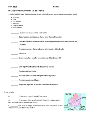 Digestive System Quiz Review Part 1 - 1 the pathway that food takes as ...