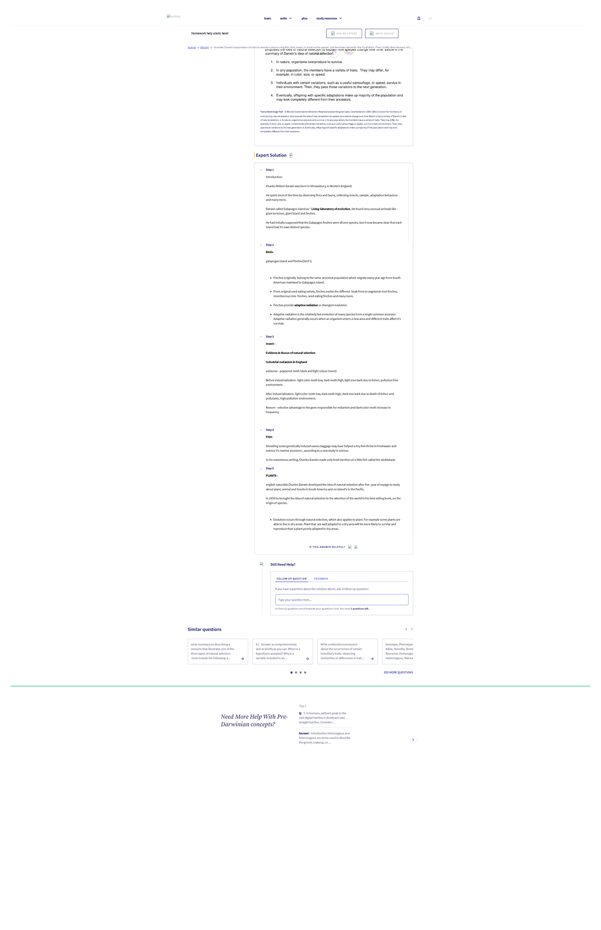 Answered Illustrate Darwin's explanation of… bartleby - Expert Solution ...