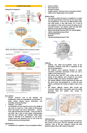 Heart and Circulation - HEART AND CIRCULATION FUNCTIONS AND COMPONENTS ...