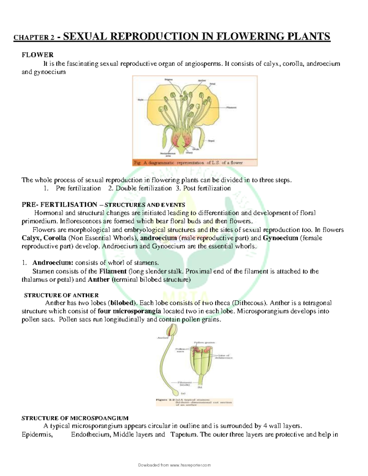 HSSRptr Ch-2 Sexual reproduction in flowering plants - CHAPTER 2 ...