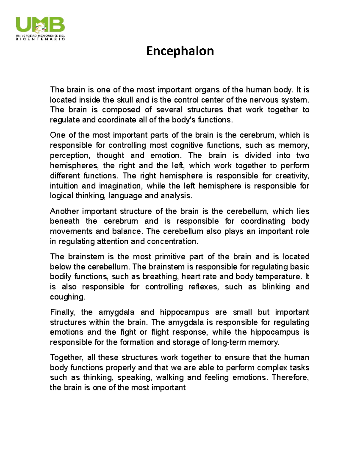 Encephalo - What is - Encephalon The brain is one of the most important ...