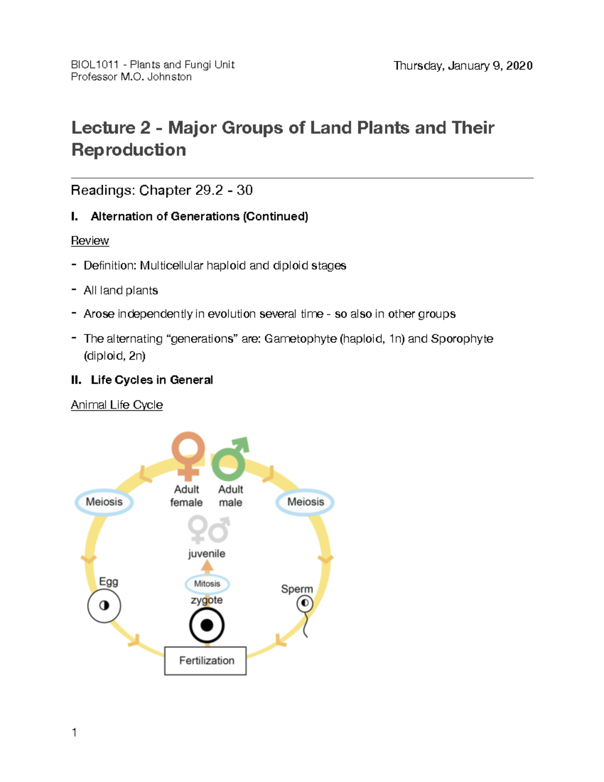 Lecture 2 - Major Groups of Land Plants and Their Reproduction ...