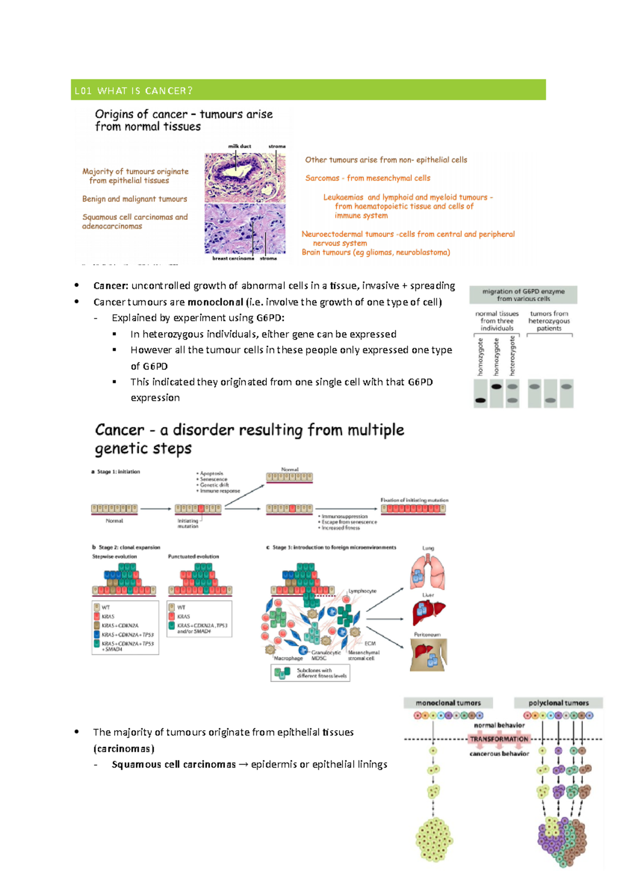 L01 what is cancer - Lecture notes 1 - L01 WHAT IS CANCER? Cancer ...