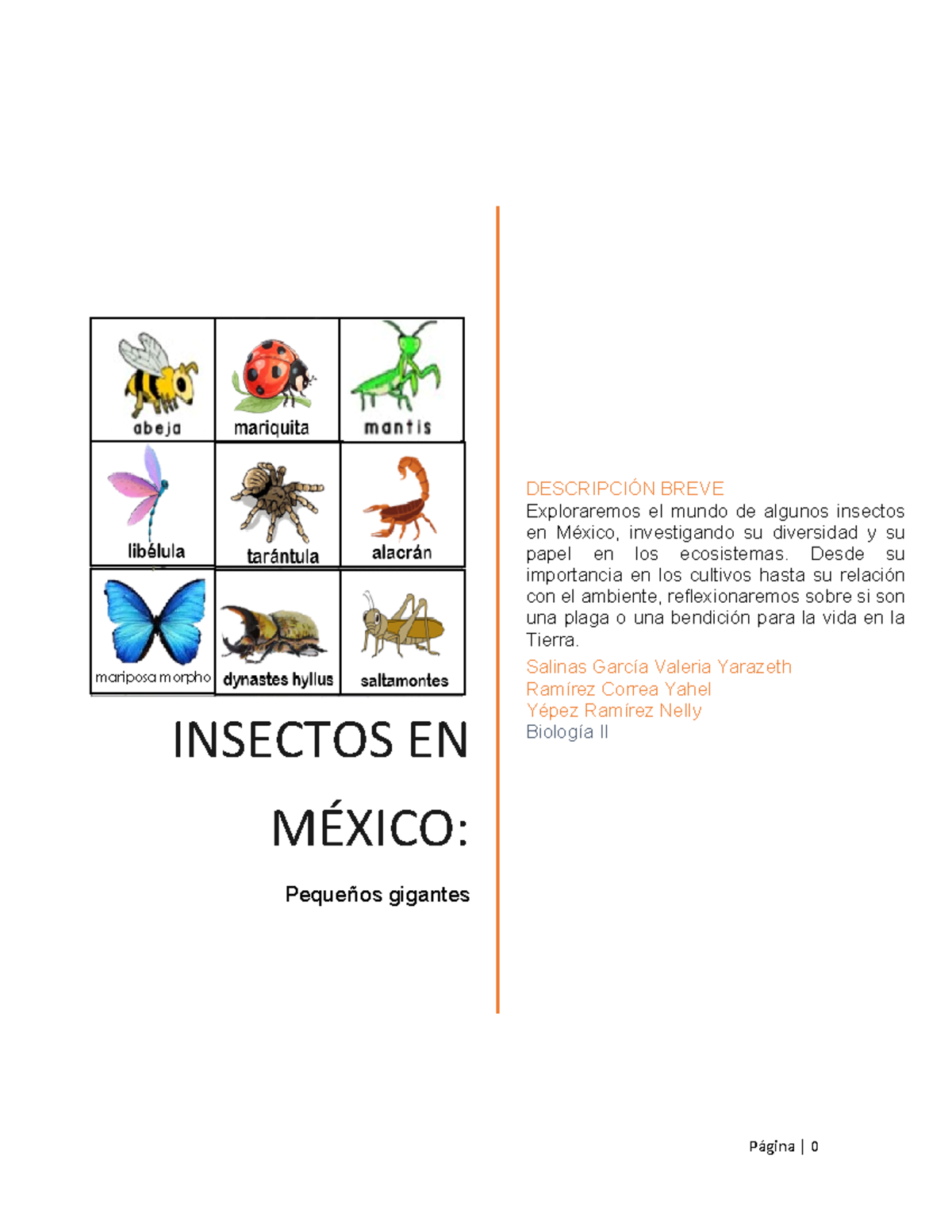 Insectos en México - INSECTOS EN MÉXICO: Pequeños gigantes DESCRIPCIÓN ...