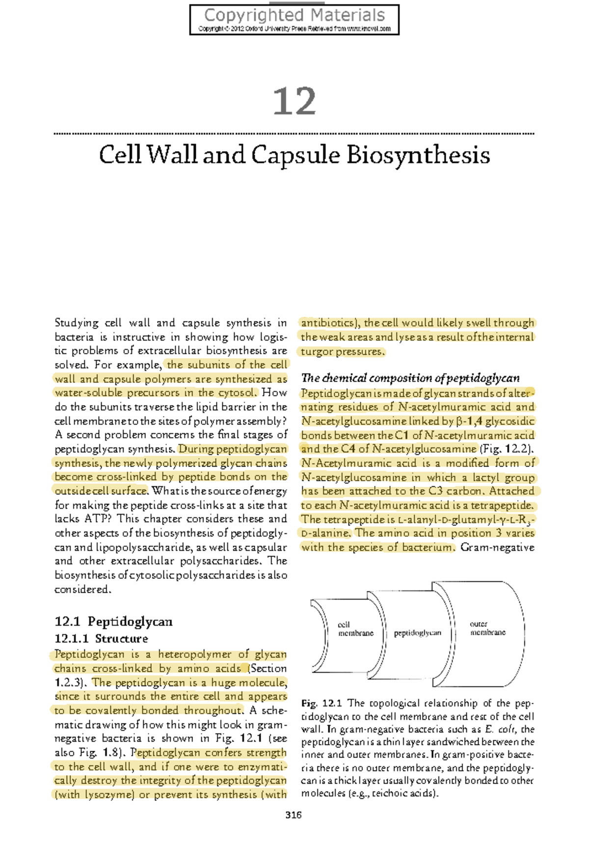 Cell Wall and Capsule Biosynthesis - 316 Studying cell wall and capsule ...