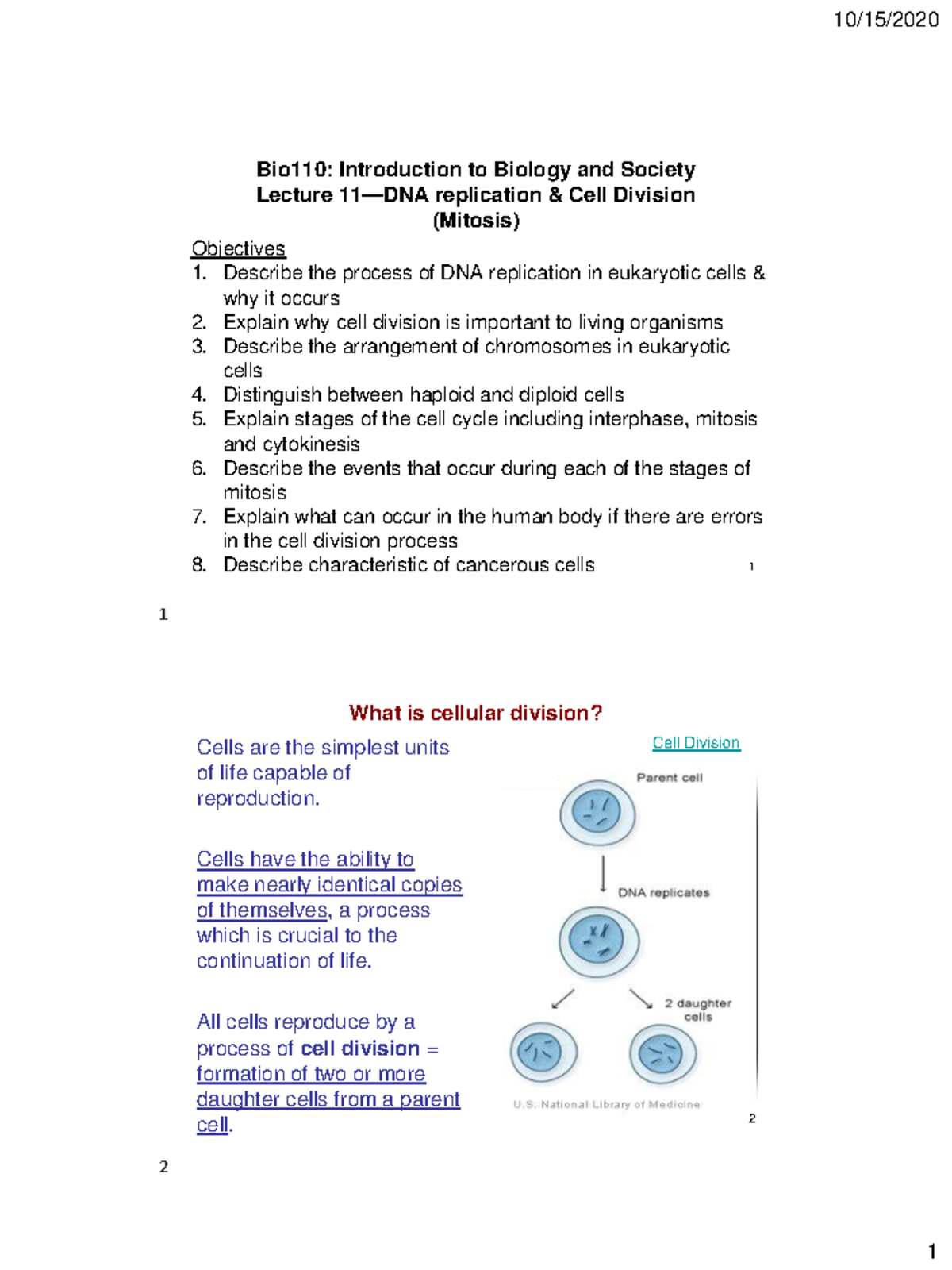 Lecture 11 Cell Division Revised 2020 - Bio110: Introduction to Biology ...