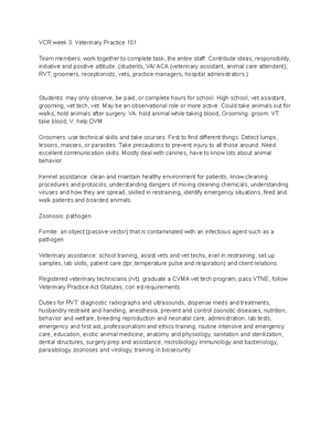 VCR word slashers - Word slasher terminology worksheet. - VCR word ...