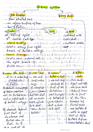 histology pathology - Epidermis The desquamation process allows the ...