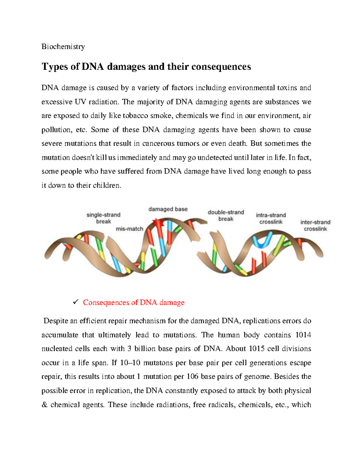 Types of DNA damages and their consequences - Biochemistry Types of DNA ...
