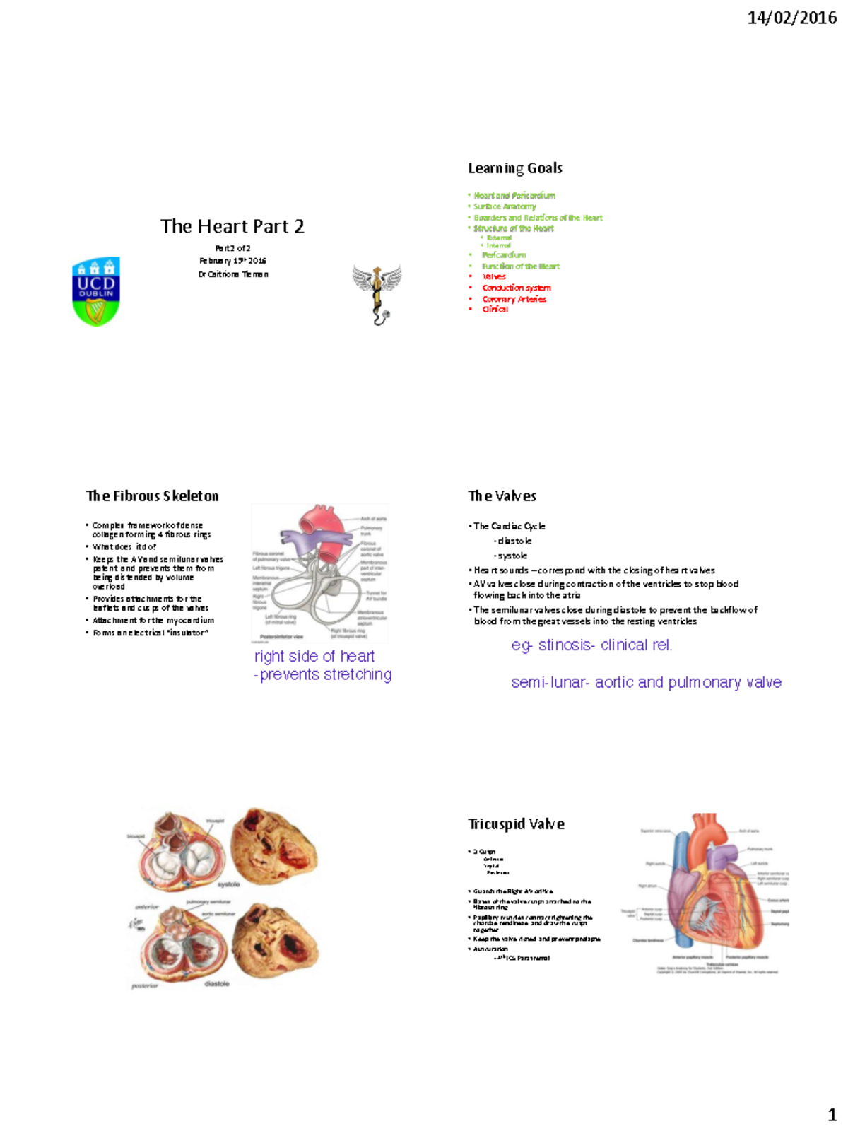 Cardiac anatomy: part 2 - 14/02/2016 Learning Goals The Heart Part 2 ...