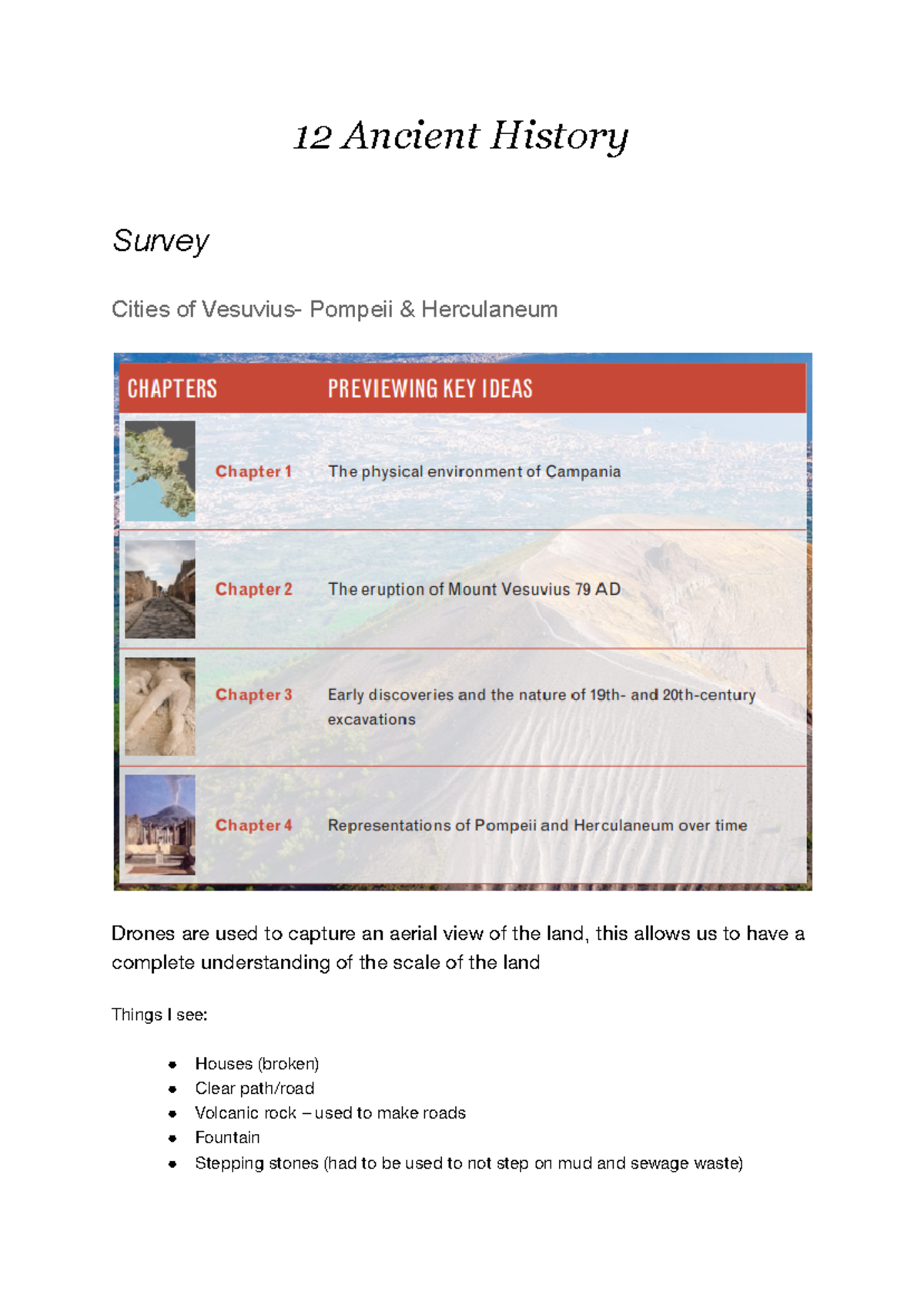 12 AH suitcase - Pompeii and Herculaneum notes - 12 Ancient History ...