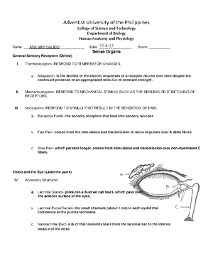 Anaphy Lab Activity 1 Microscopy Answer - ACTIVITY 1: MICROSCOPY Many ...