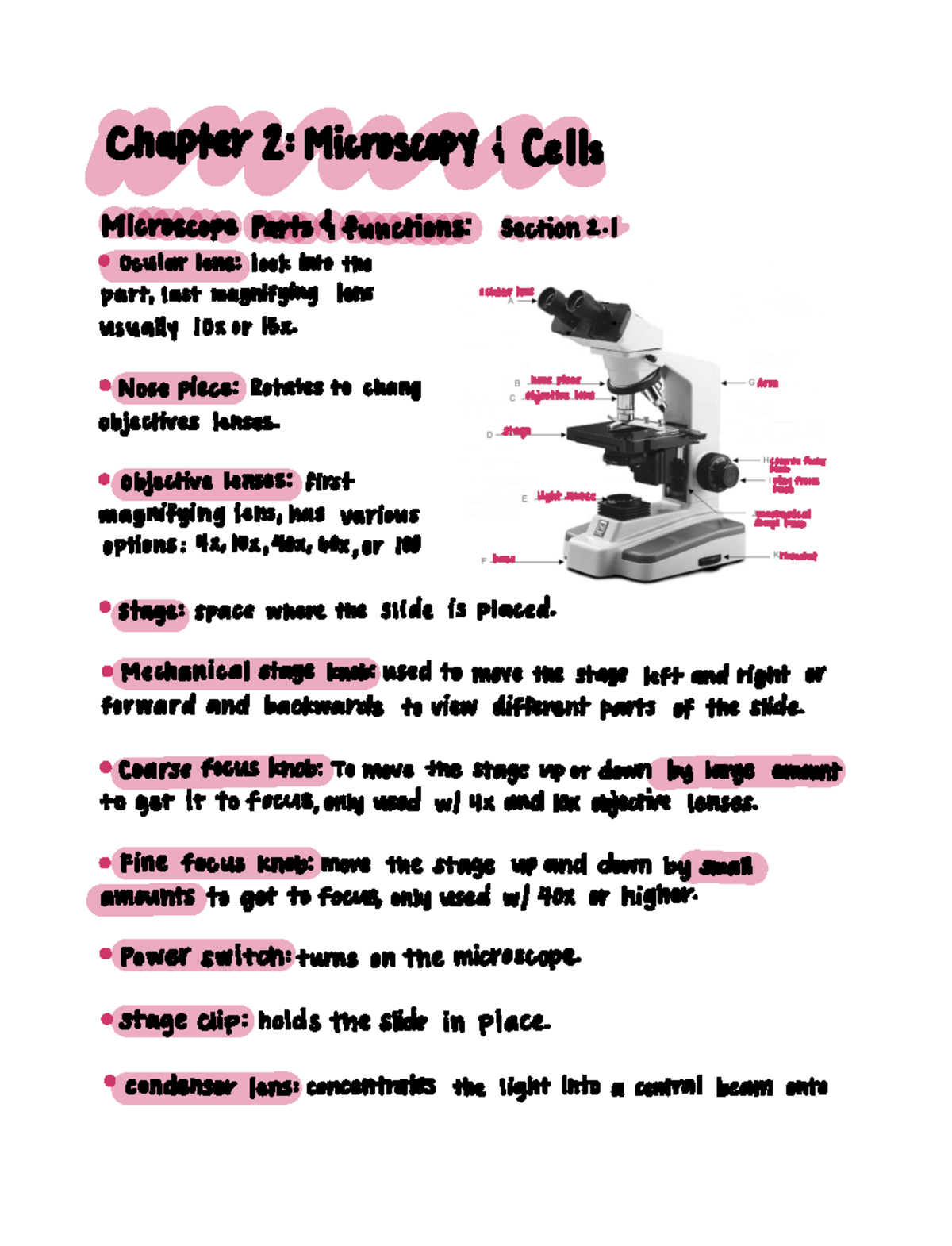 Chapter 2 Lecture - Microbiology notes :)) - Chapter 2 Microscopy's ...
