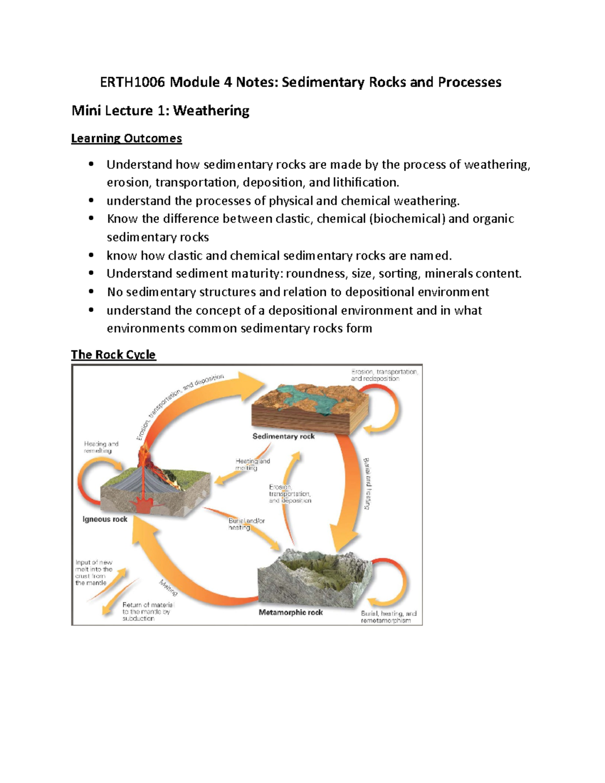 ERTH1006 Module 4 Notes - ERTH1006 Module 4 Notes: Sedimentary Rocks ...