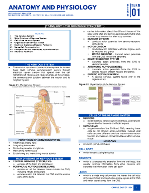 Anaphy LEC Chapter 1 Human Organism - [TRANS] UNIT 1 : THE HUMAN ...
