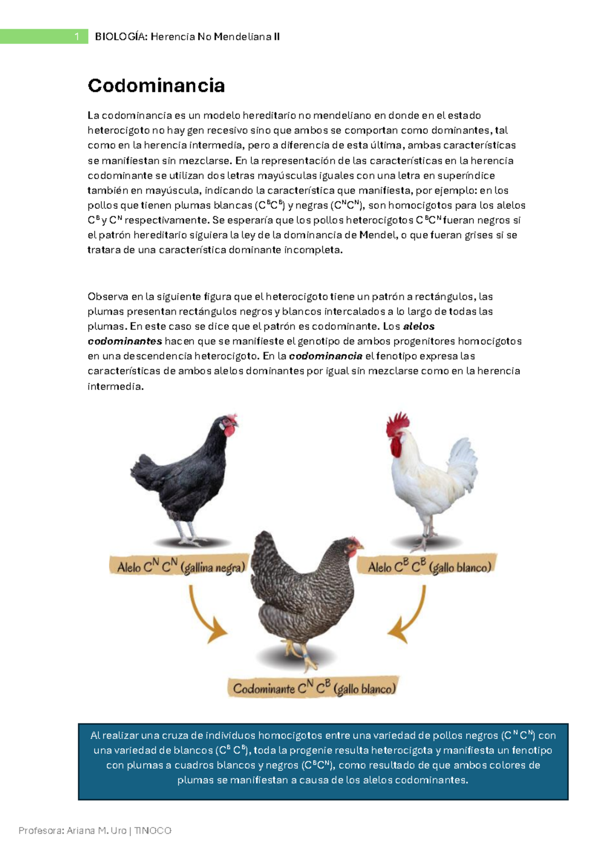 Codominancia II - 1 BIOLOGÍA: Herencia No Mendeliana II Profesora ...