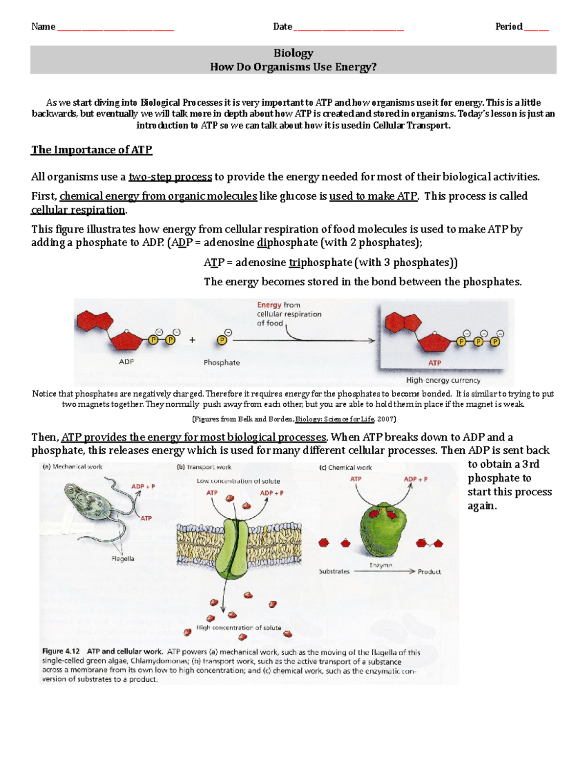 Intro to ATP - notes - Name _________________________________ Date