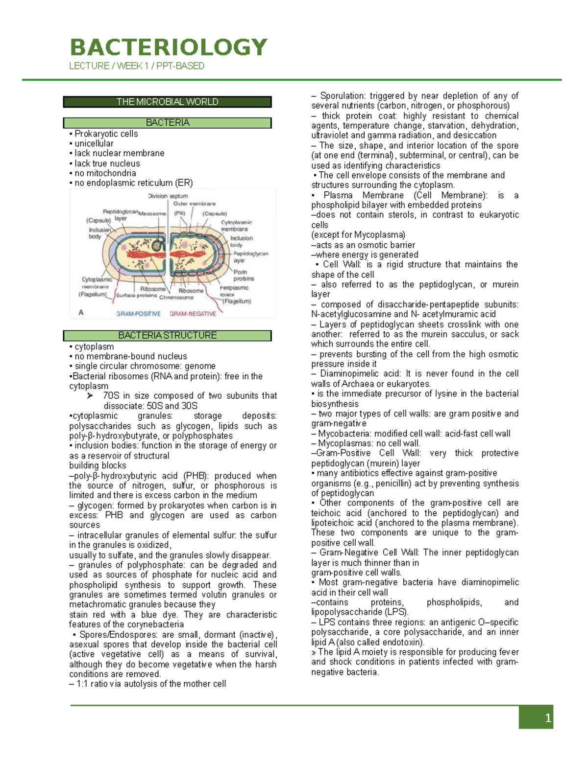Bacte LEC trans WEEK 1 - LECTURE / WEEK 1 / PPT-BASED THE MICROBIAL ...