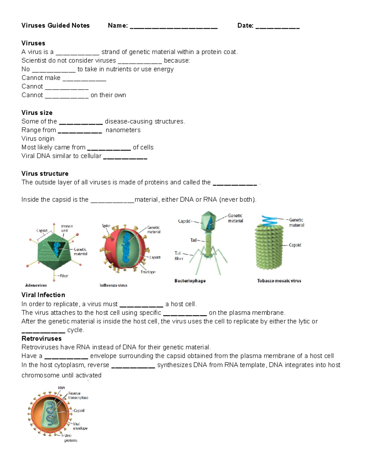 trimmy boy meerski - Viruses Guided Notes Name ...
