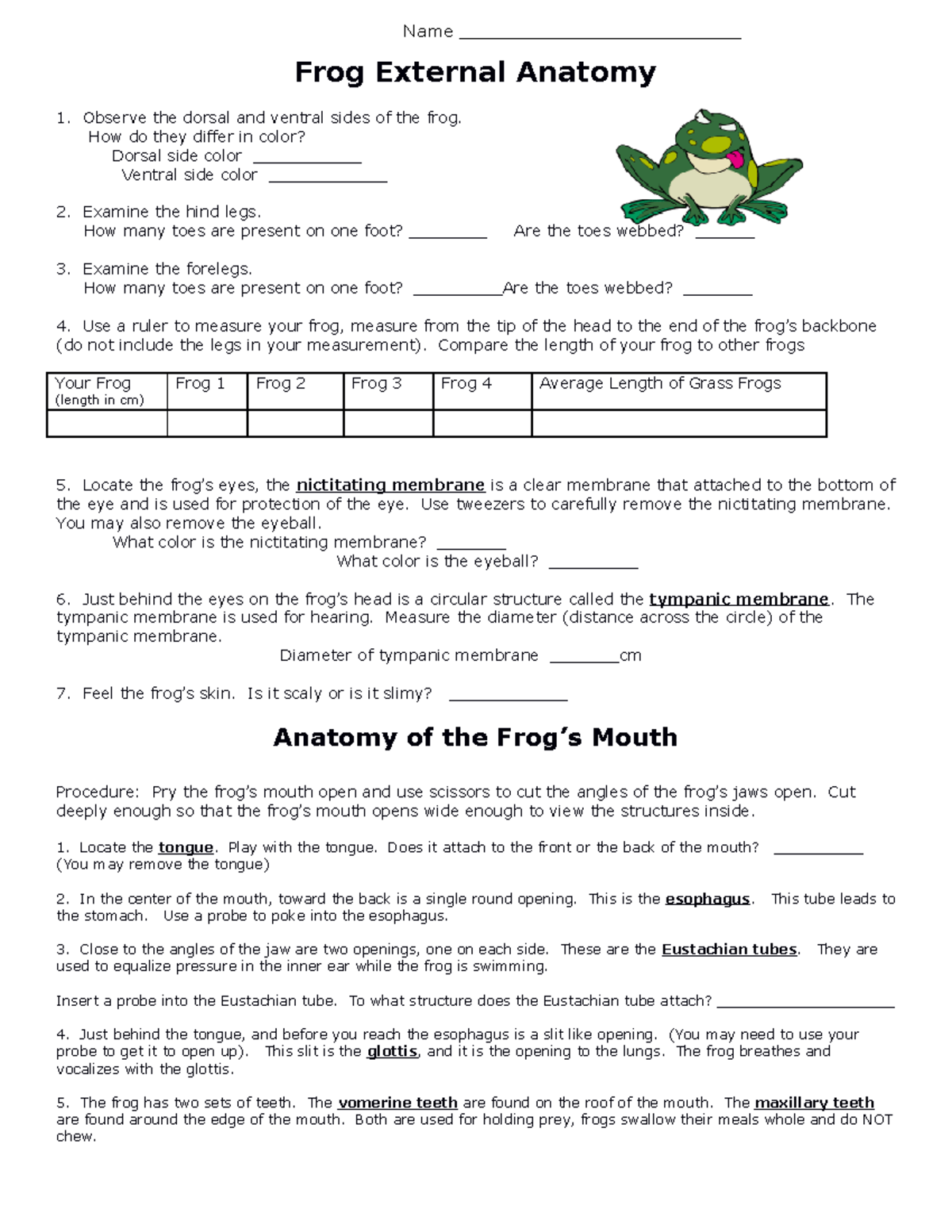 Frog external - Anatomy of the frog - Frog External Anatomy 1. Observe ...