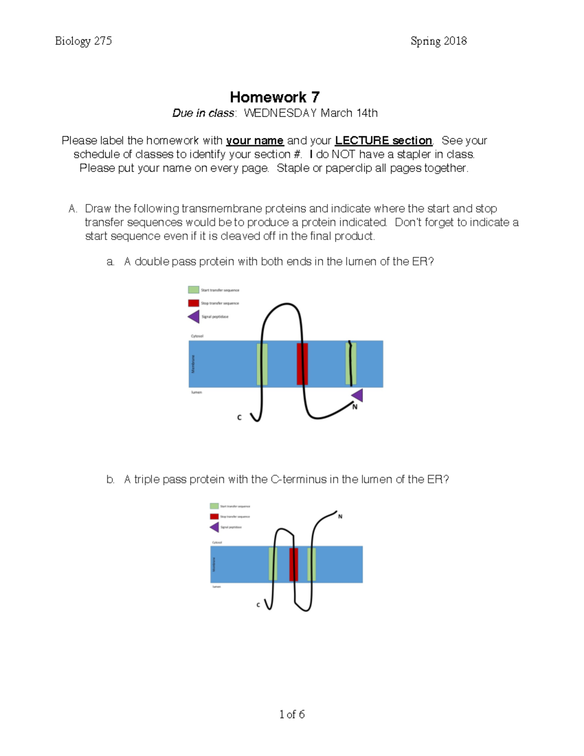 HW7KEY - Biol275: Cell and Molecular Biology with Dr. Porter - Homework ...