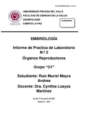 Infografia de los Derivados DE LAS Capas Germinativas - Embriología ...