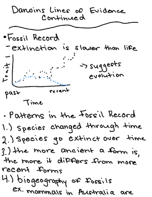 BIOL 109 Day 2 - Darwin's Lines of Evidence for Evolution - BIOL 109 ...