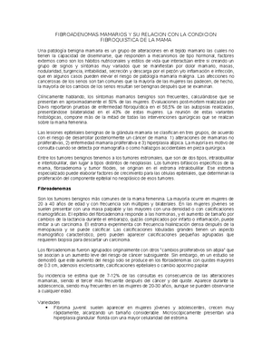 Peritoneo y cavidad peritoneal Anatomía y función Kenhub - Peritoneo y ...