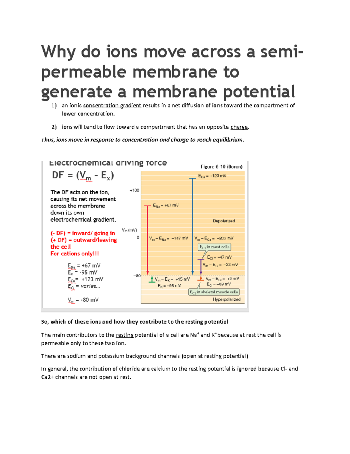 The Goldman equation - Class notes - Why do ions move across a semi ...