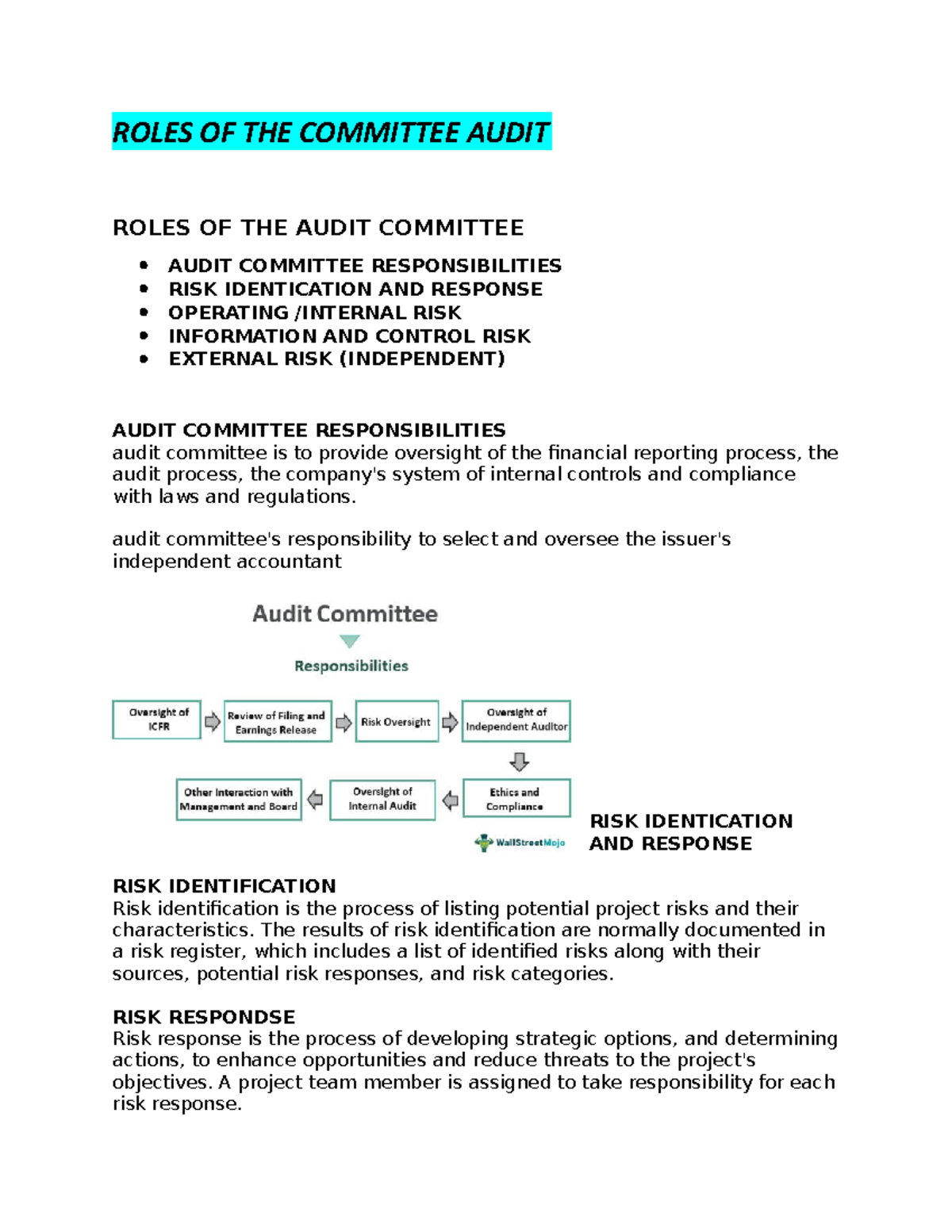 Roles OF THE Committee Audit - ROLES OF THE COMMITTEE AUDIT ROLES OF ...