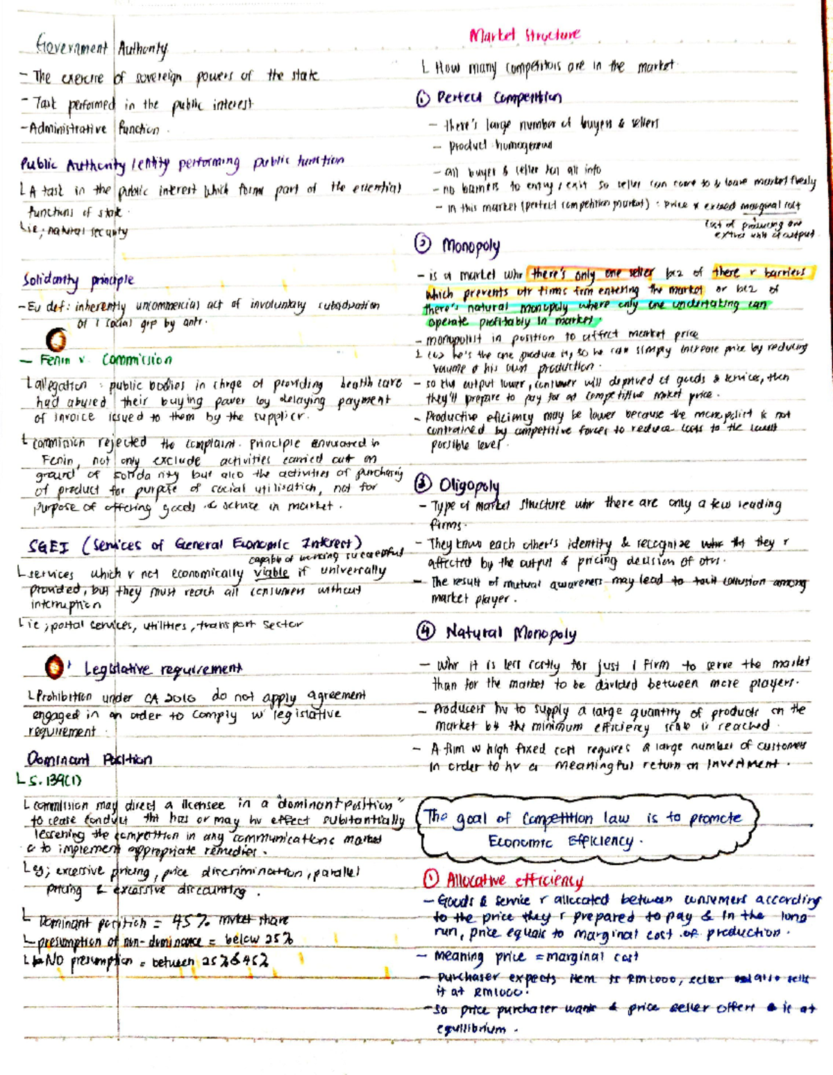 Competition intro - Notes - Government Authority Market structure The ...