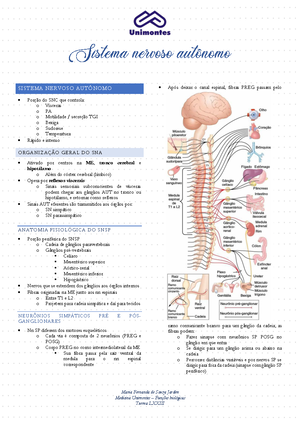 Aula 3 - Somestesia - Somestesia Conceito Geral As funções Neurais são ...