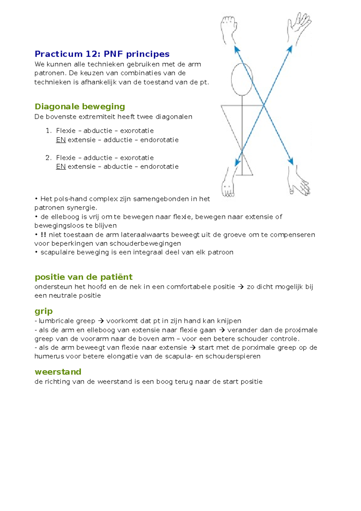 het PNF-concept principes - Practicum 12: PNF principes We kunnen alle ...