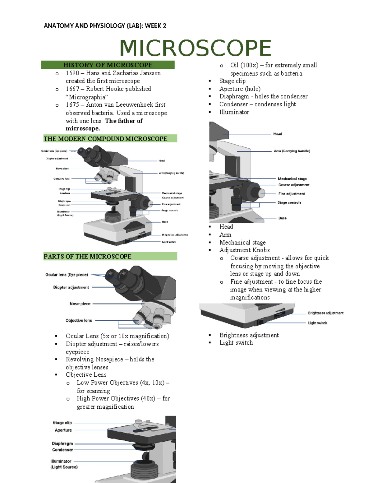 Microscope - ANATOMY AND PHYSIOLOGY (LAB): WEEK 2 MICROSCOPE o 1590 ...