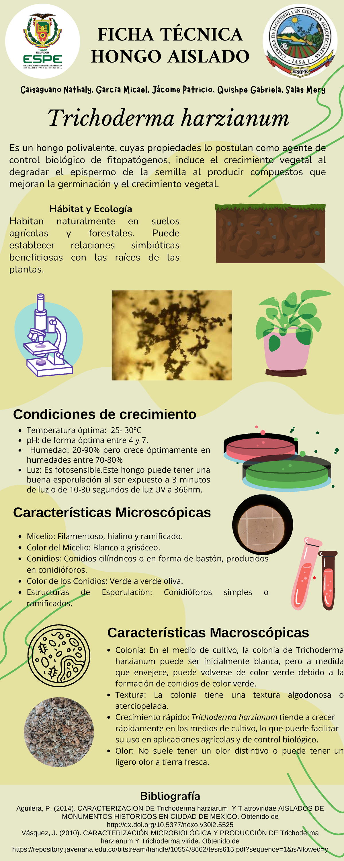 Ficha Técnica Trichoderma harzianum - Temperatura óptima: 25- 30ºC pH: de forma óptima entre 4 y ...